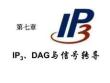 IP3、DAG与信号转导 - 豆丁网
