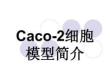 Caco-2细胞模型的应用.ppt - 豆丁网